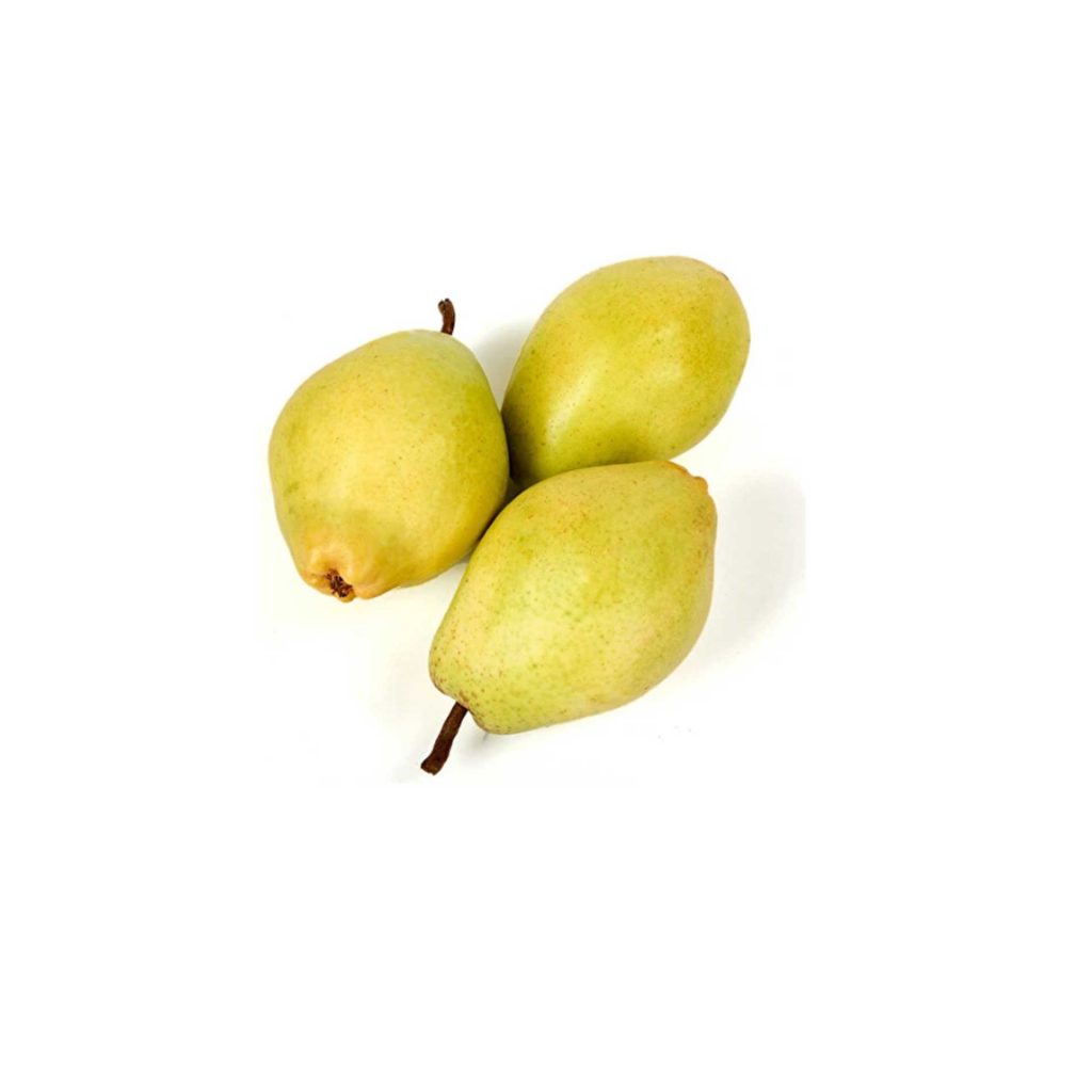 Santa Maria - | Orhan1